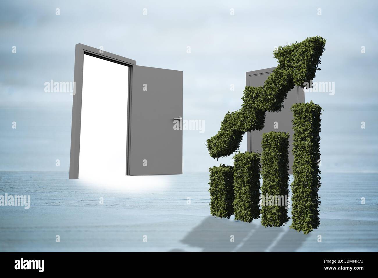 Graph of topiary and doors Stock Photo - Alamy