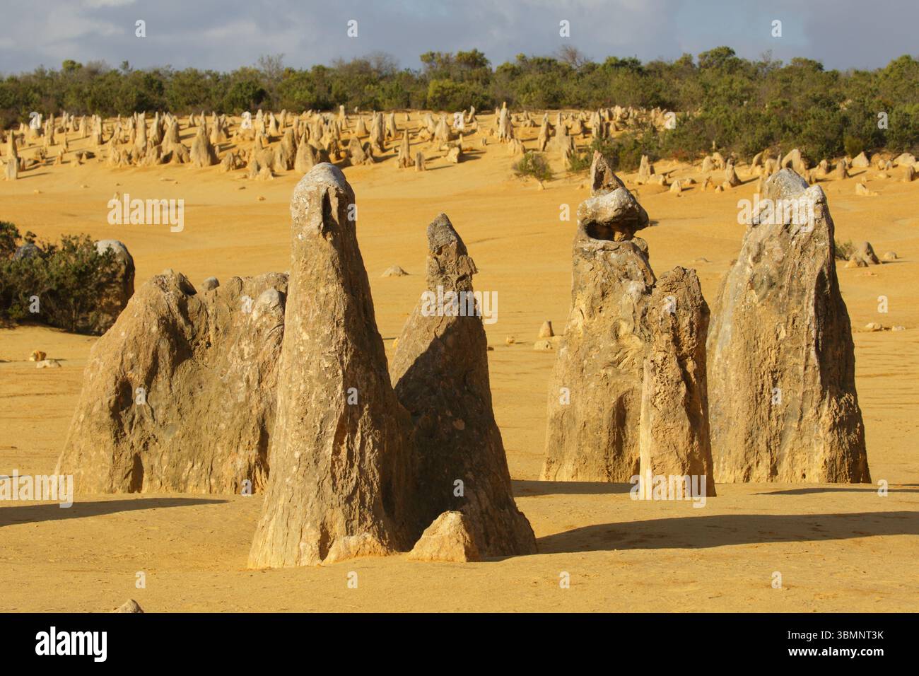 Perth australia june 2025 famous hi-res stock photography and images ...