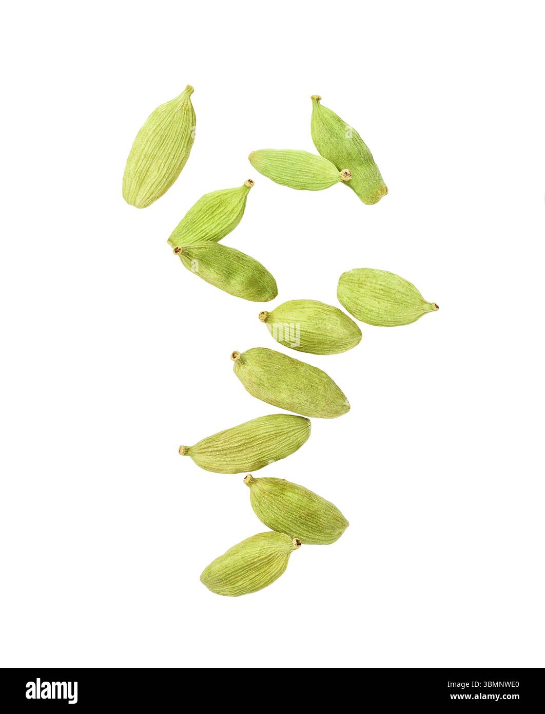 Cardamom pods levitate isolated on white background. Cardamom pods ...
