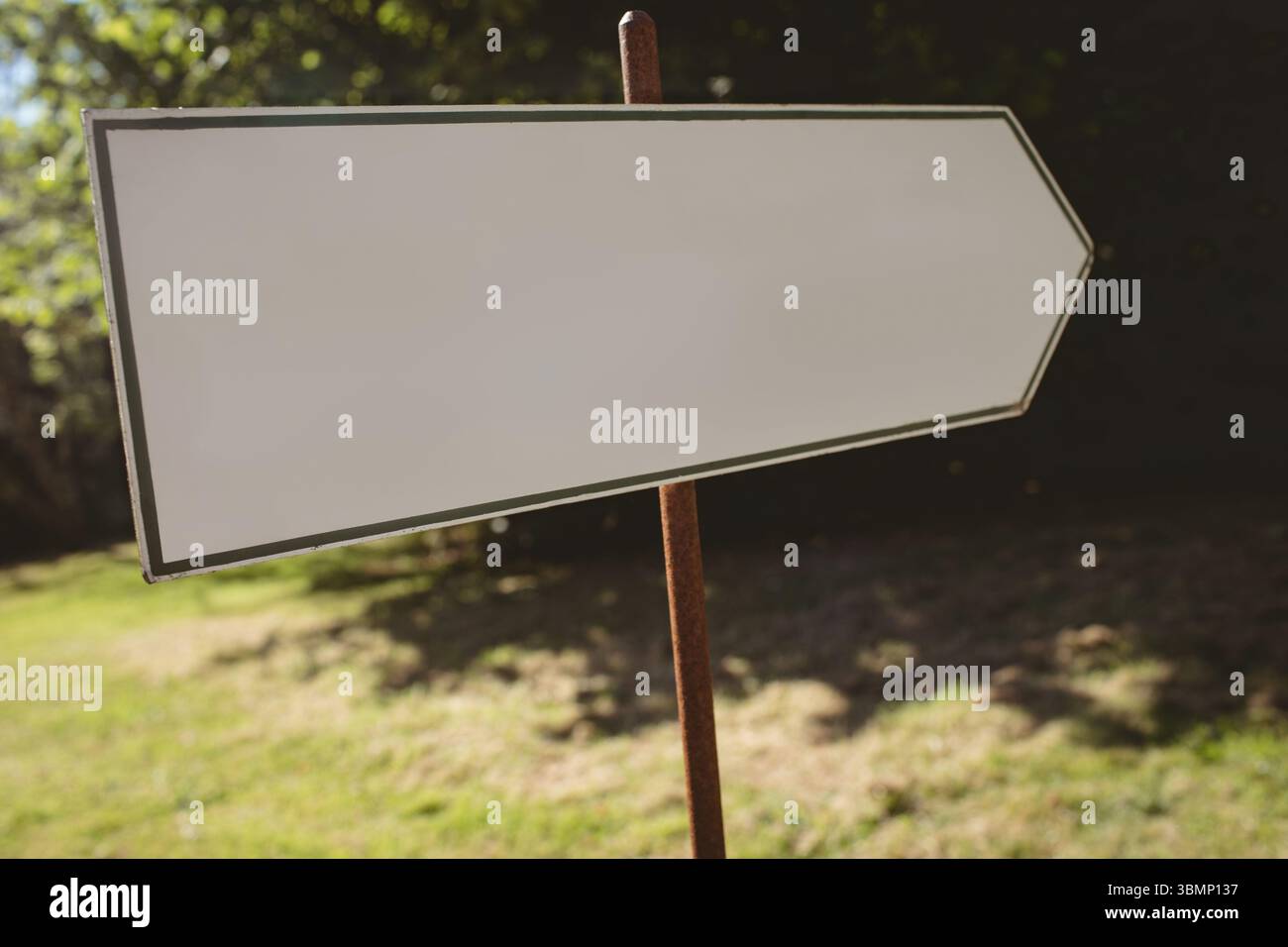 Front view of blank direction sign pointing to the right against forest ...