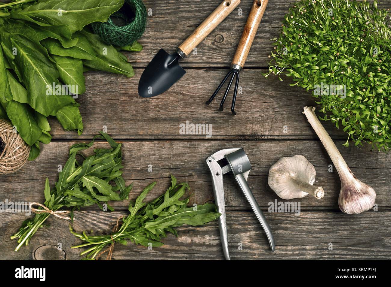 Gardening tools and greenery on wooden table. Spring in the garden. Top ...