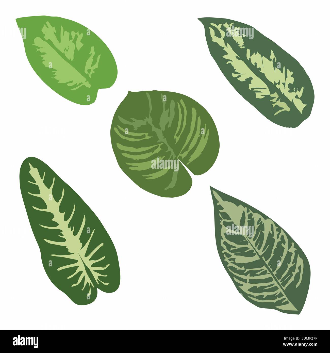 2D Tropical Leaf silhouettes sets flat leaves Stock Photo - Alamy
