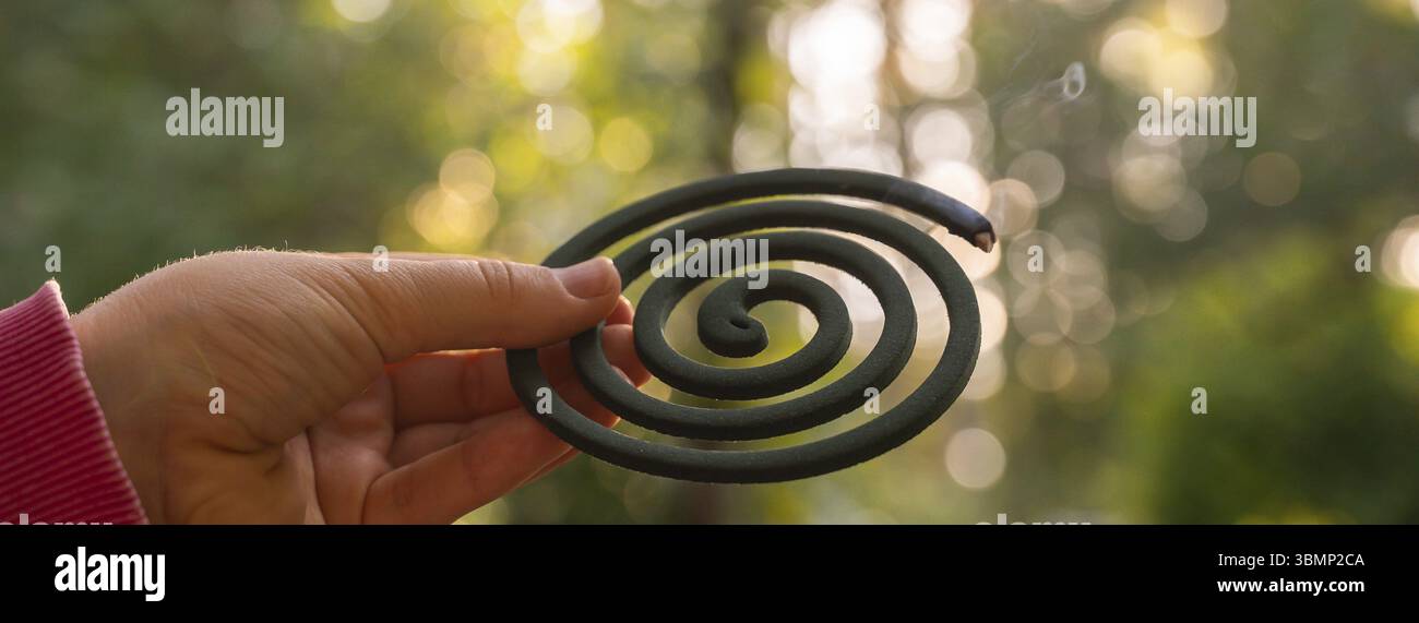Smoldering mosquito coil spiral insect repellent mosquito insecticide ...
