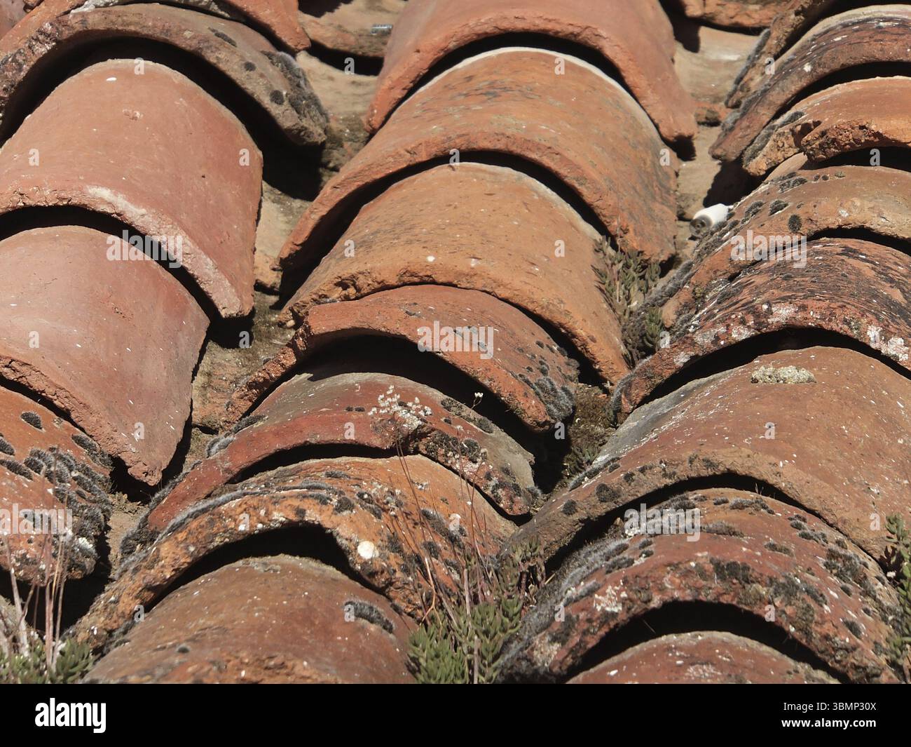 Close-up view of weathered terracotta roof tiles showing signs of age ...