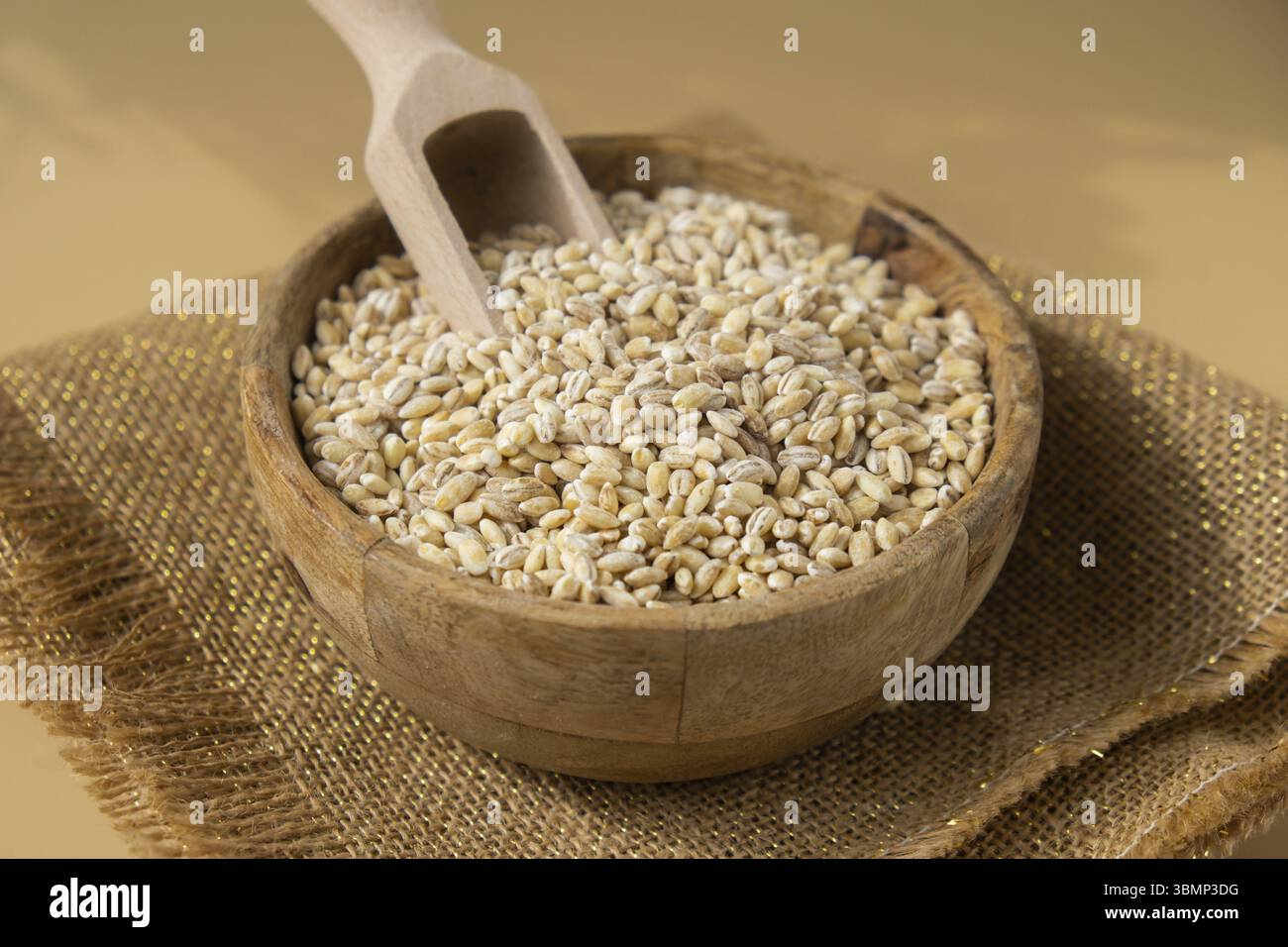 Pearl barley in neutral beige background. Whole spelt grain species ...