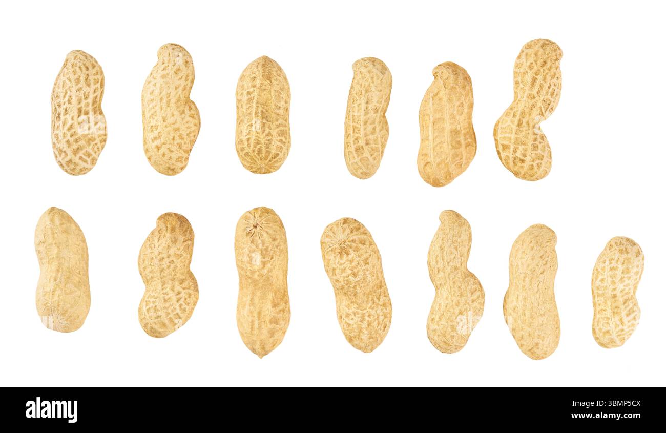 different shapes shelled peanuts isolated on white background. peanuts ...