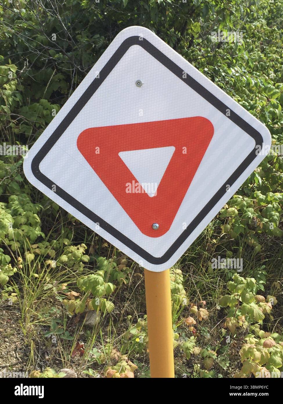 Yield to pedestrian hi-res stock photography and images - Alamy