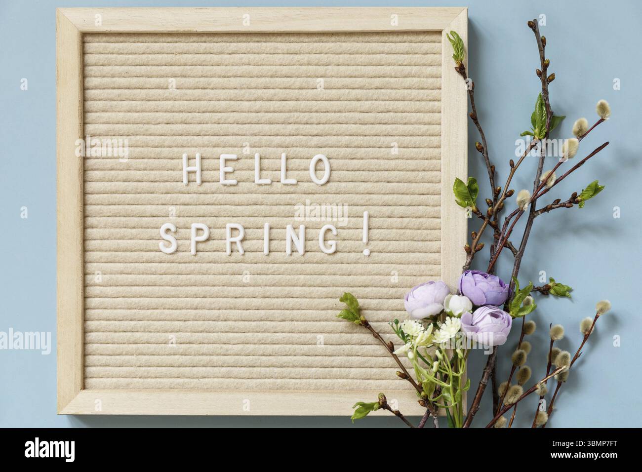 Letter Board with quote HELLO SPRING, with green branches and flowers ...