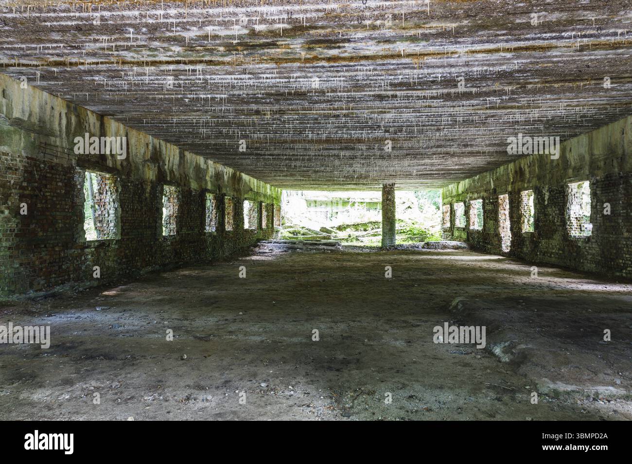 Ruins of building in the Wolf's Lair. Former war headquarters of Adolf ...