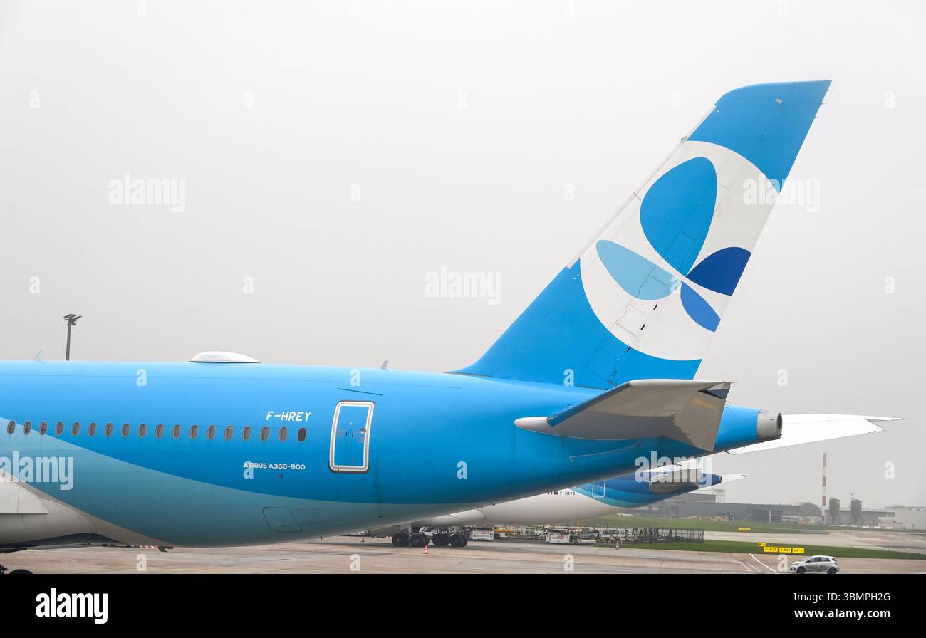 French bee plane hi-res stock photography and images - Alamy