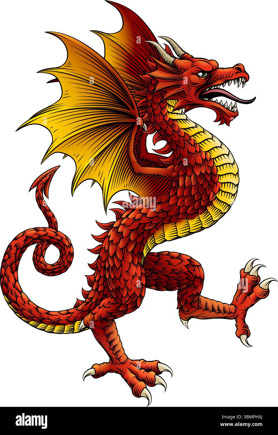 Heraldry Wyvern Heraldic Coat of Arms Dragon Stock Vector Image & Art ...