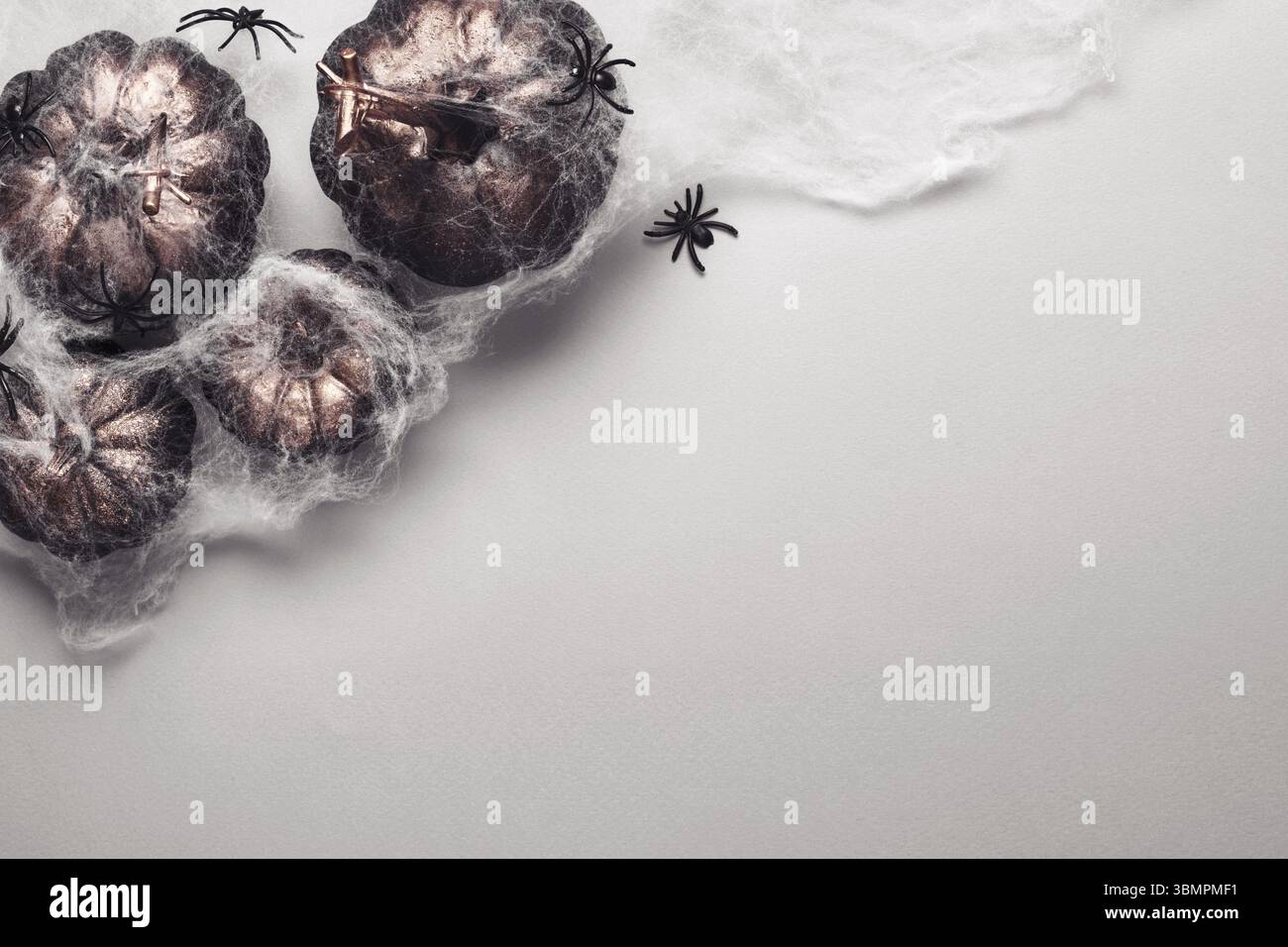 Schwarze spinnen hi-res stock photography and images - Alamy