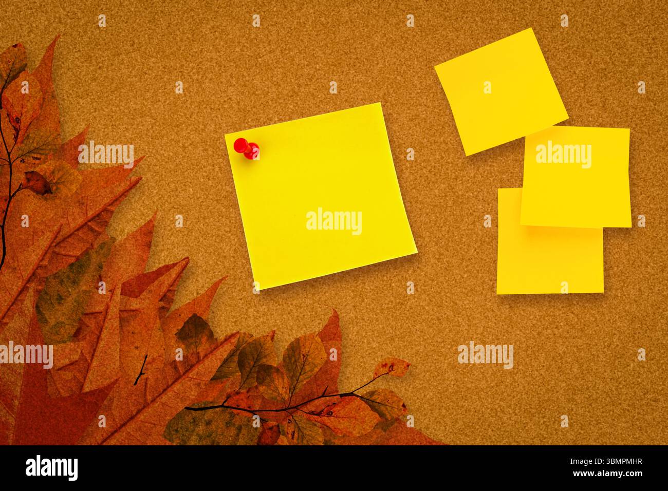 Autumn leaves with yellow notes Stock Photo - Alamy