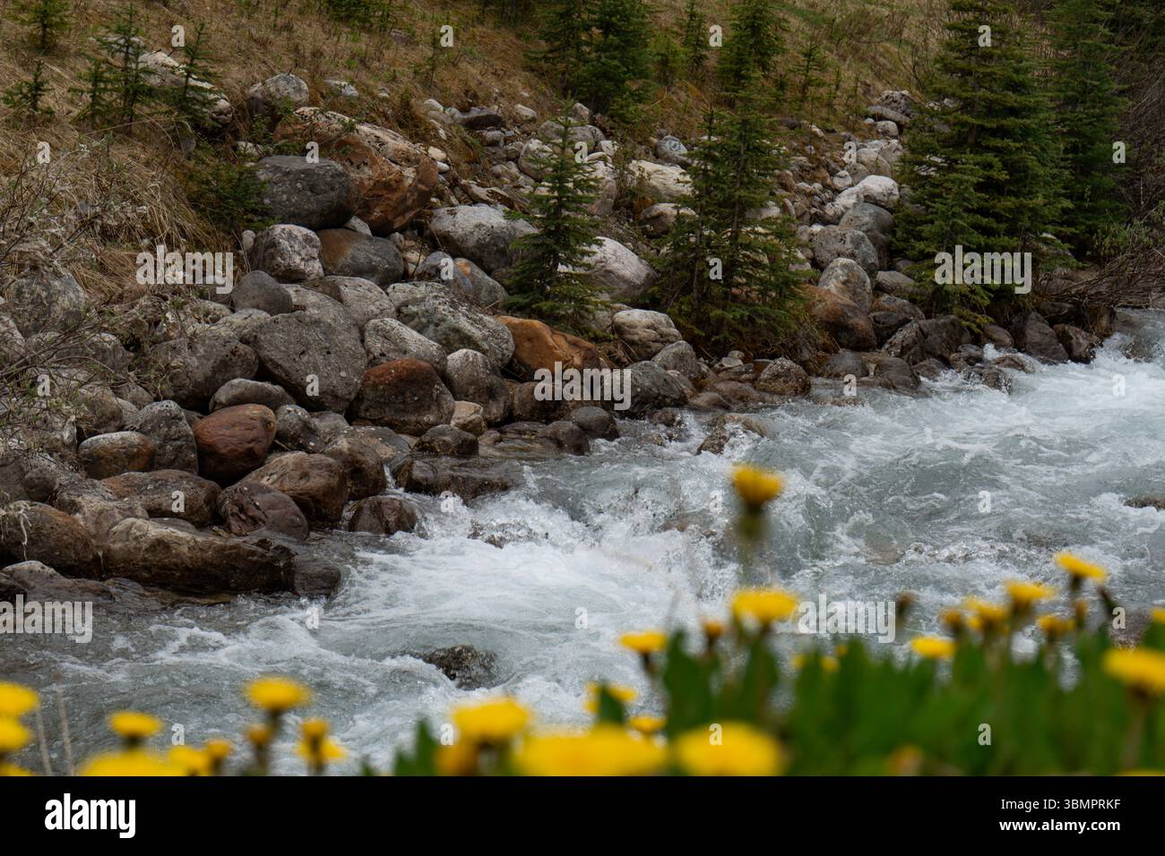 Clear stream runs through hi-res stock photography and images - Alamy