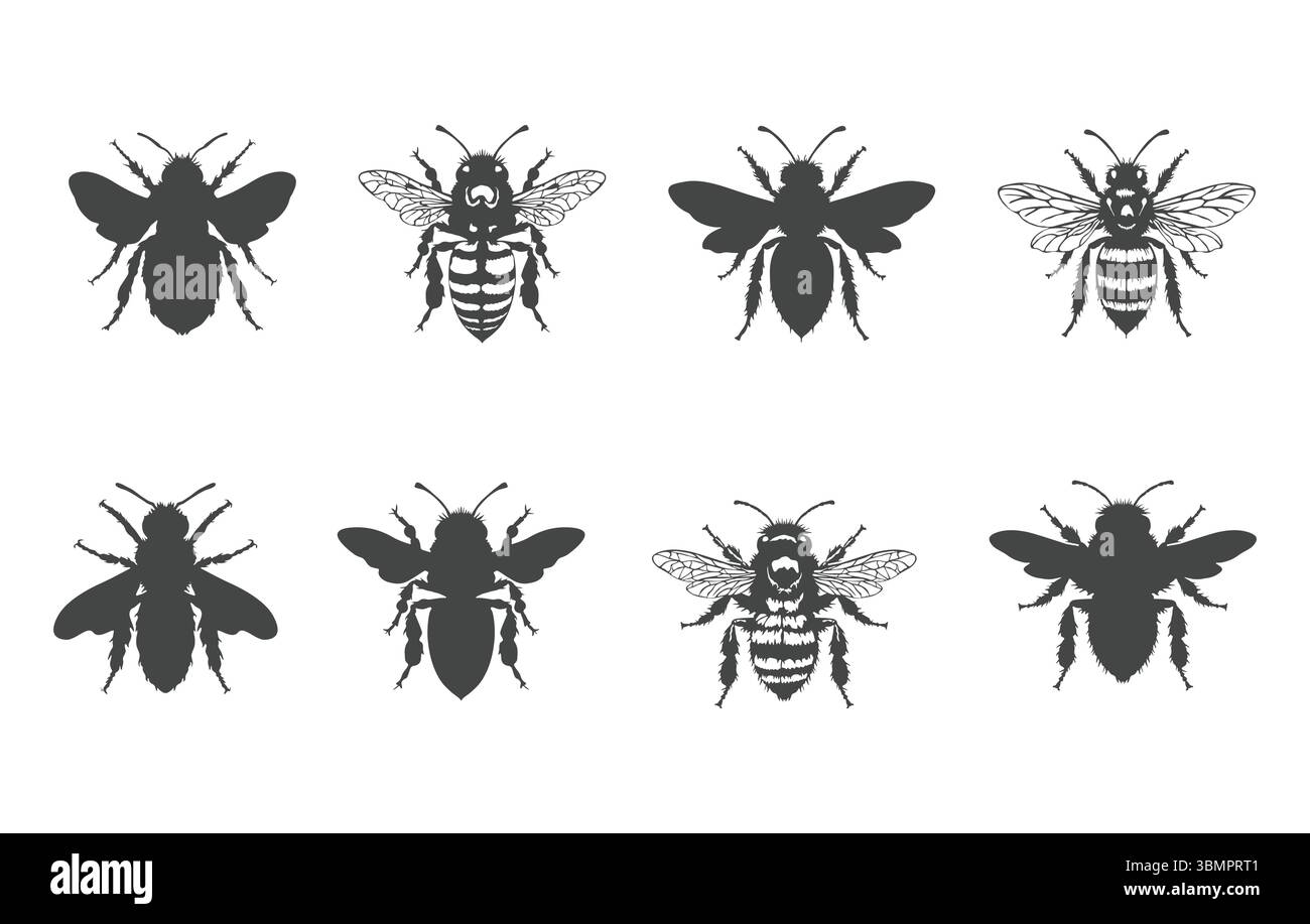 Honey bee svg, Honey bee vector, Honey bee silhouette, Honeybee ...