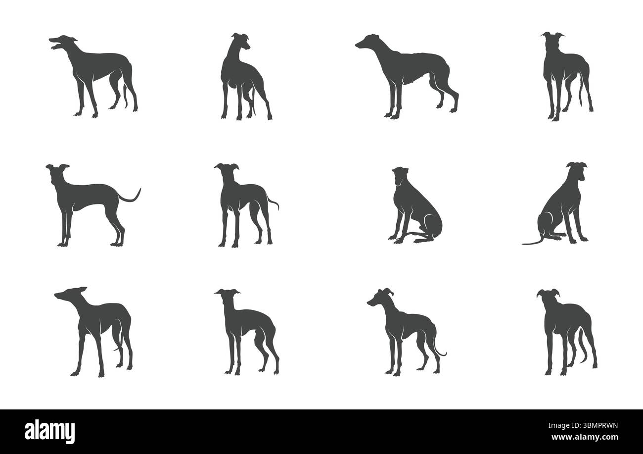 Greyhound Dog Svg, Greyhound Dog Silhouette, Greyhound Dog Vector ...
