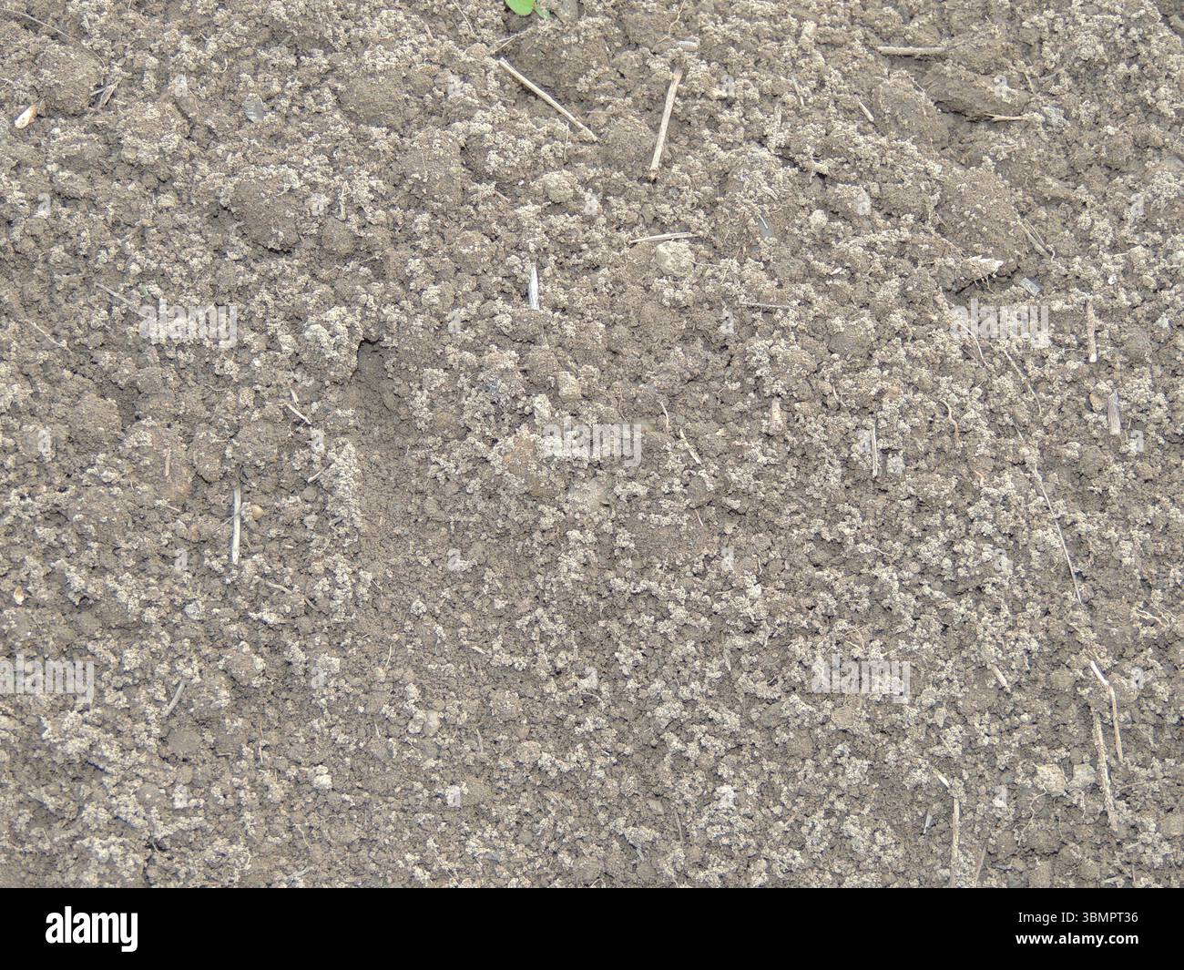 Crumbly fresh fertile soil hi-res stock photography and images - Alamy