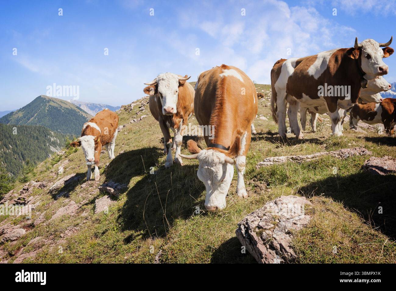 High altitude farming region in hi-res stock photography and images - Alamy