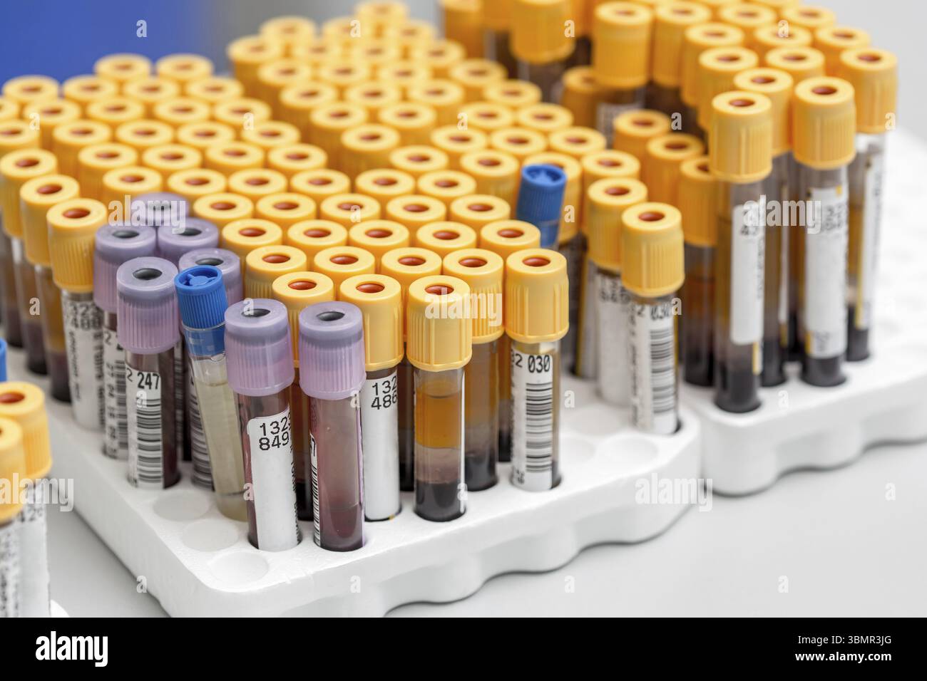 Set of Test tubes in the laboratory Stock Photo - Alamy