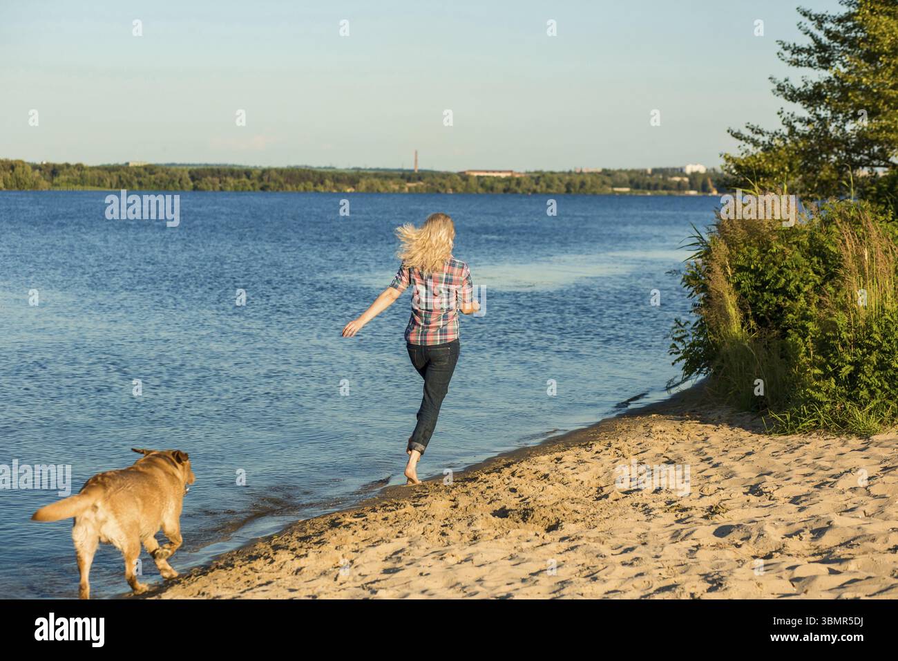 Happy young woman walking along a beach with her golden retriever at ...