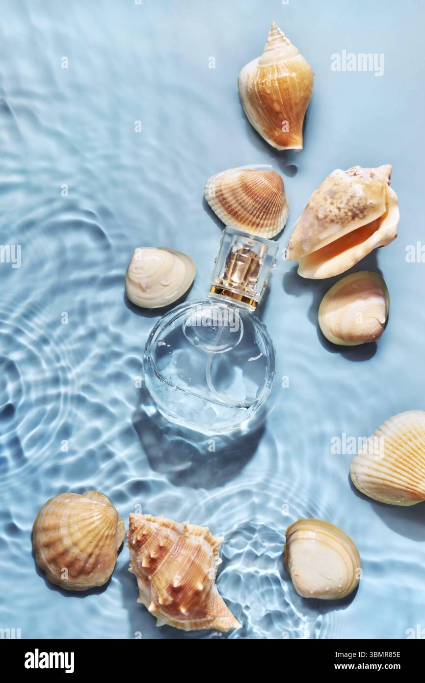 Glass perfume bottle and sea shells in spray water background. Marine ...