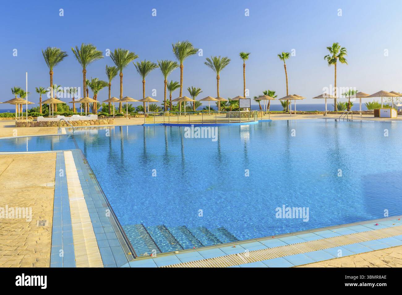 The view at beautiful swimming pool at the luxury hotel and palm trees ...