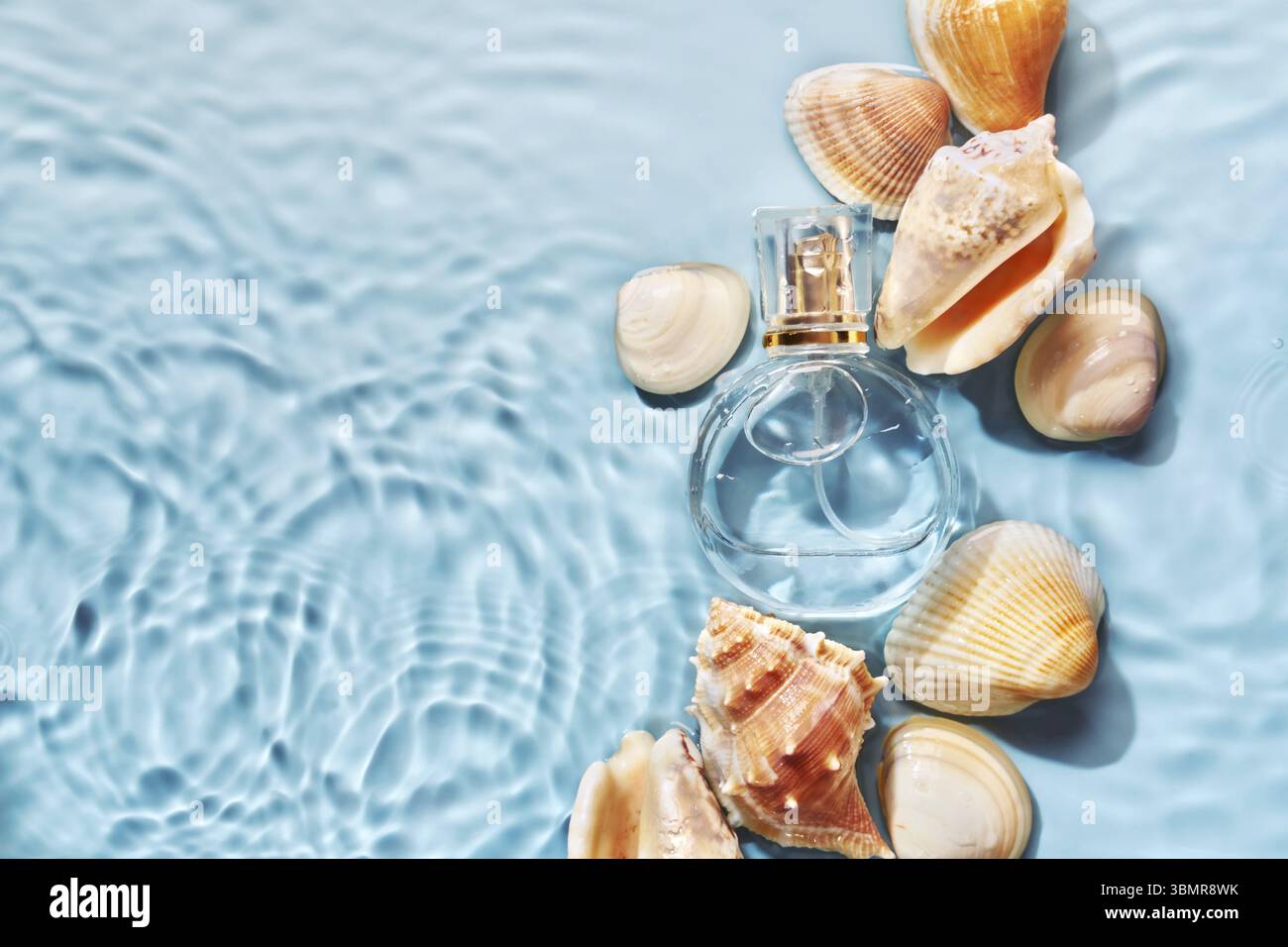 Glass perfume bottle and sea shells in spray water background. Marine ...