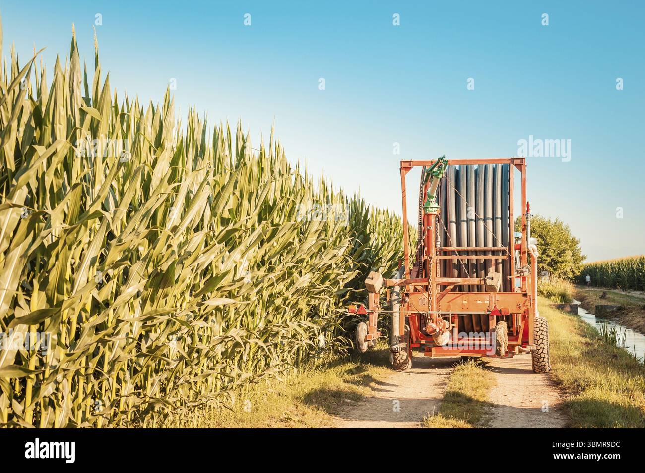 System of spray irrigation for agriculture with tube roll Stock Photo ...