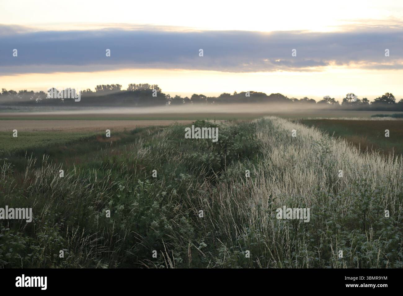 Morning between cold and warm Air layers Stock Photo - Alamy