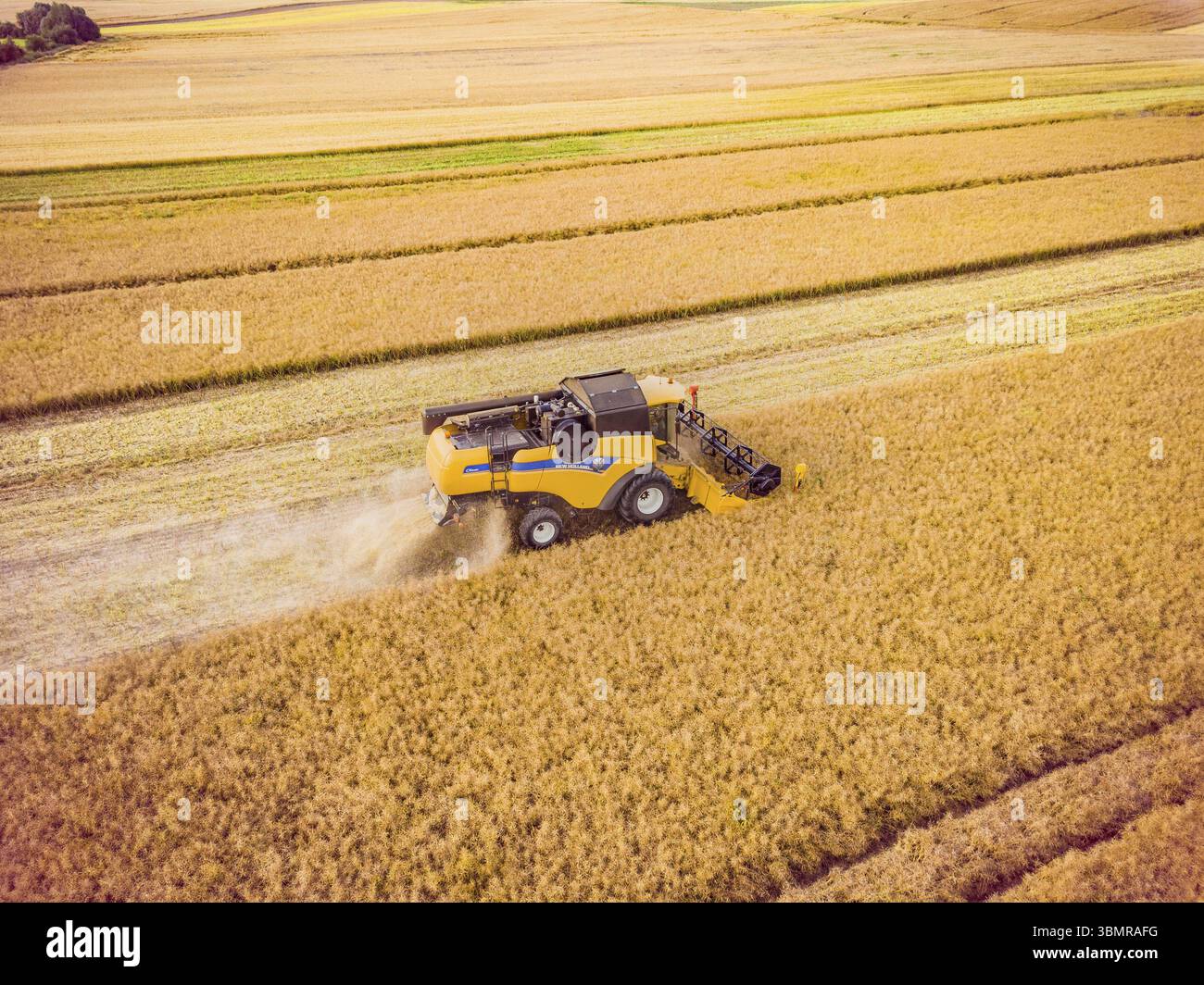 Aerial View of Combine Harvester Harvesting Wheat. Combine Harvester ...