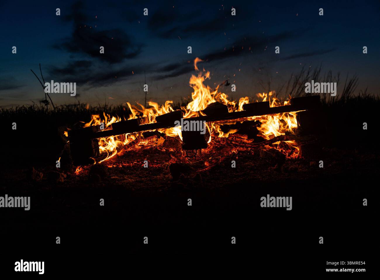 Landkreis Osnabrück, Deutschland 19. April 2025: Im Bild: Dieses ...