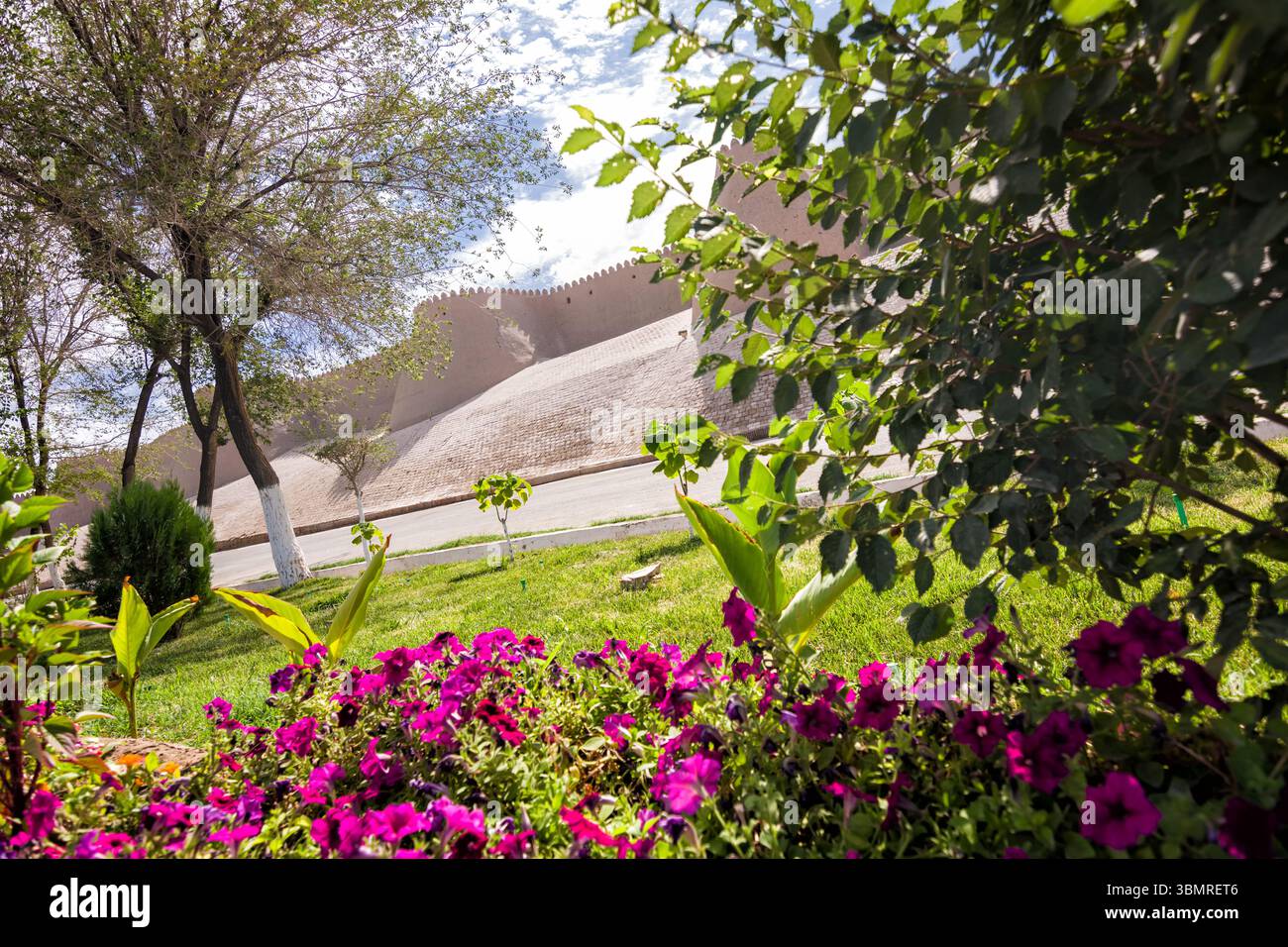 Colorful flowers in the foreground with the ancient outer walls of ...