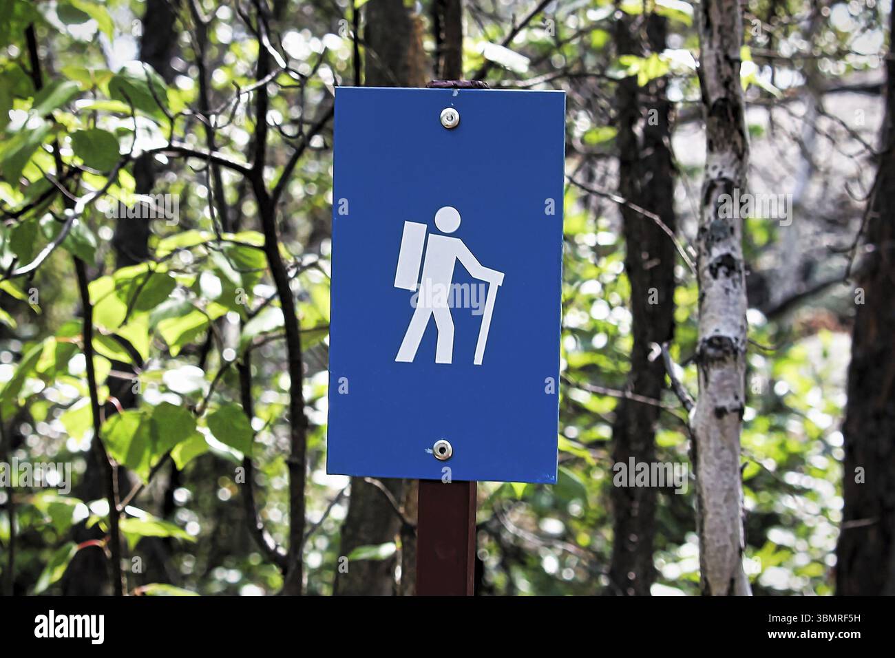 Blue hiking marker hi-res stock photography and images - Alamy