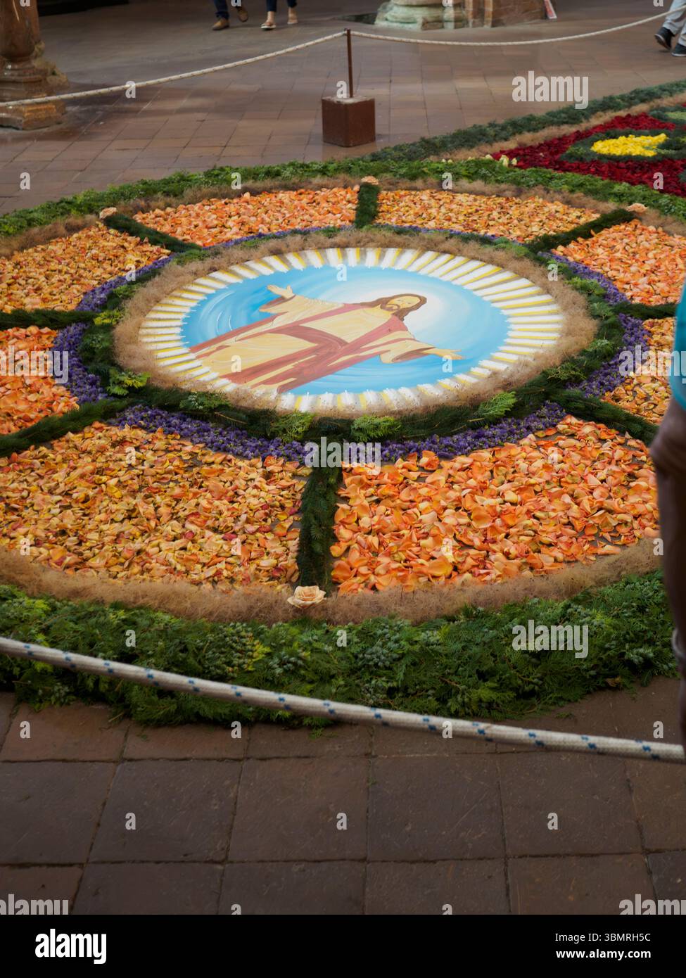 Alseno, Italy June 22nd 2025 Colorful flower petals forming circular ...