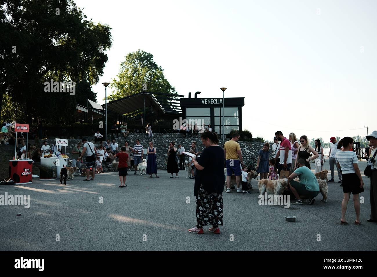 Golden retrievers and their owners gather during the annual Zlatna ...