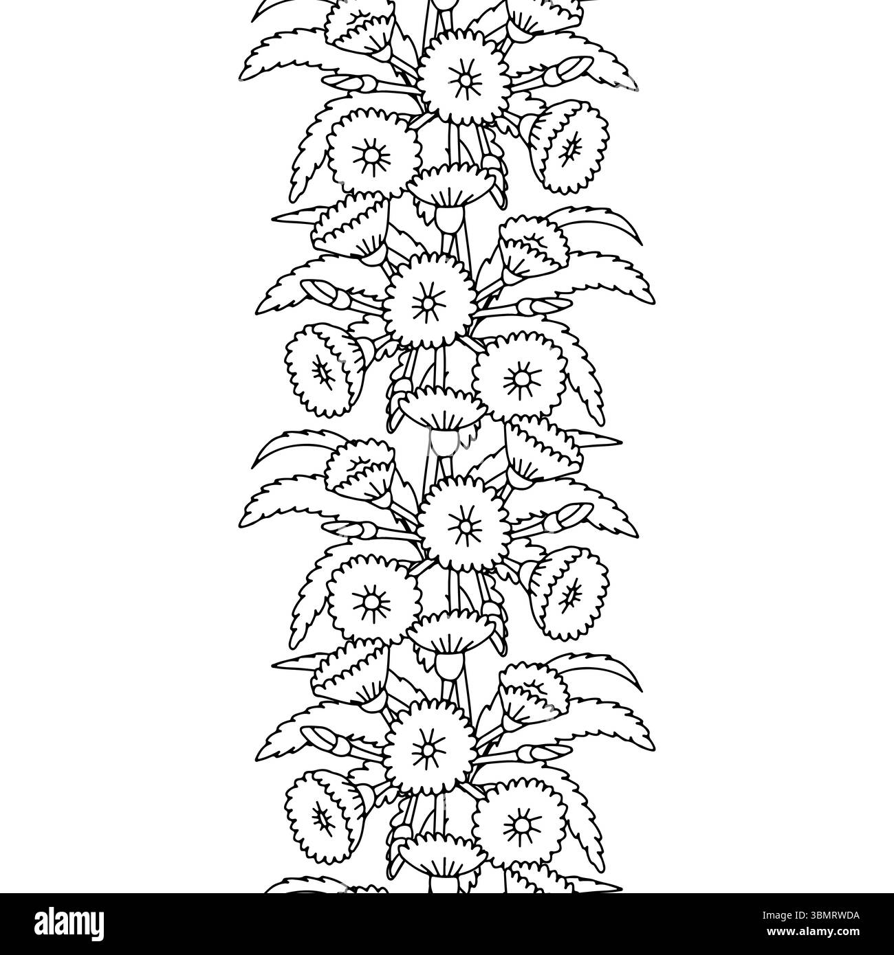 Stripe pattern with black and white line art canary islands flowers ...