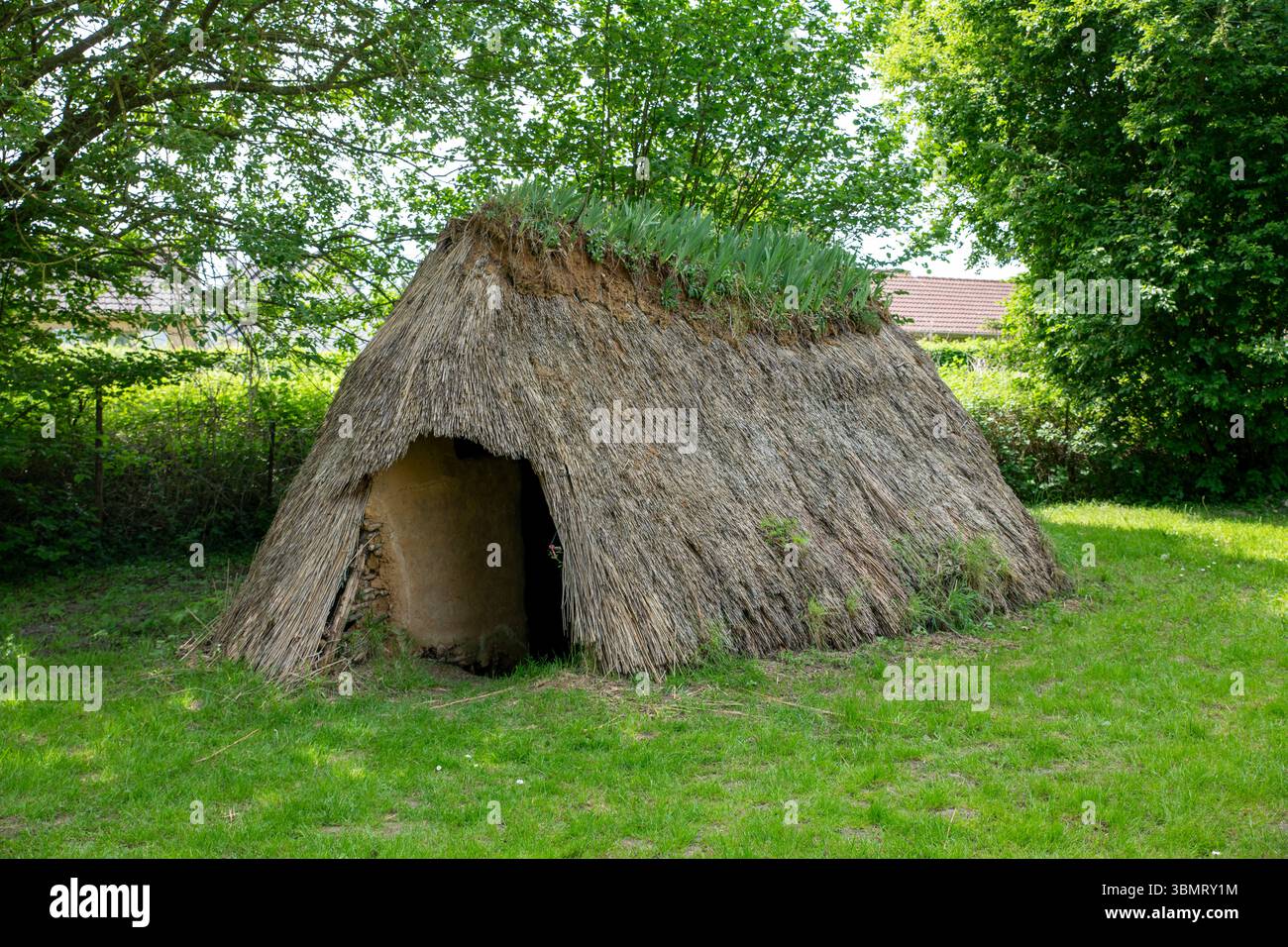 Traditional Thatched Roof Hut Surrounded by Lush Greenery in a Forest ...