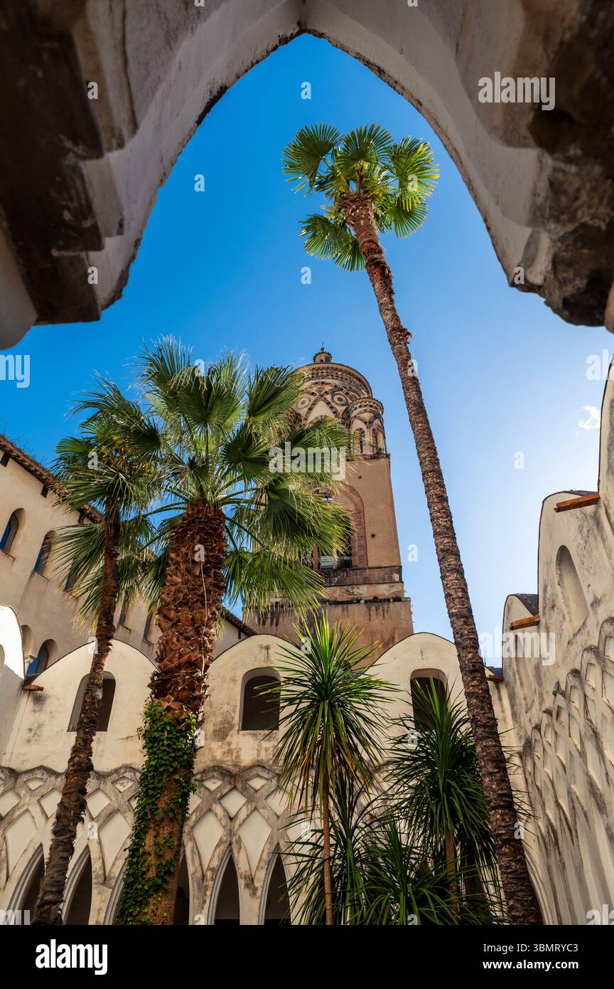 Palm tree framed by an arch of the cloister of the Duomo of Amalfi ...