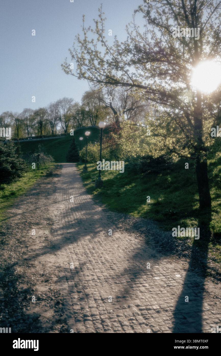 Sunny Park Pathway with Trees and Spring Light Stock Photo - Alamy