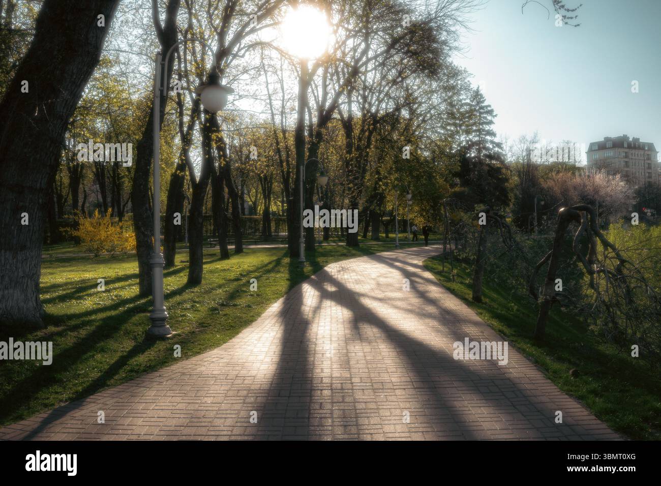 Sunny Park Pathway with Trees and Spring Light Stock Photo - Alamy
