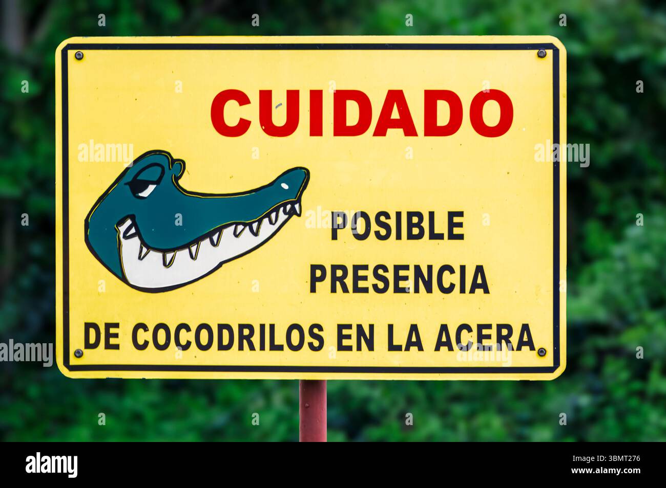 Ironic eco tourism hi-res stock photography and images - Alamy