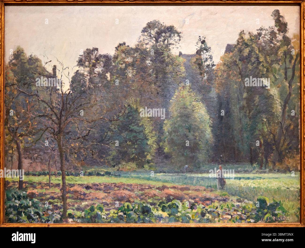 The Cabbage Field, Pontoise, 1873, Camille Pissarro (1830-1903 ...