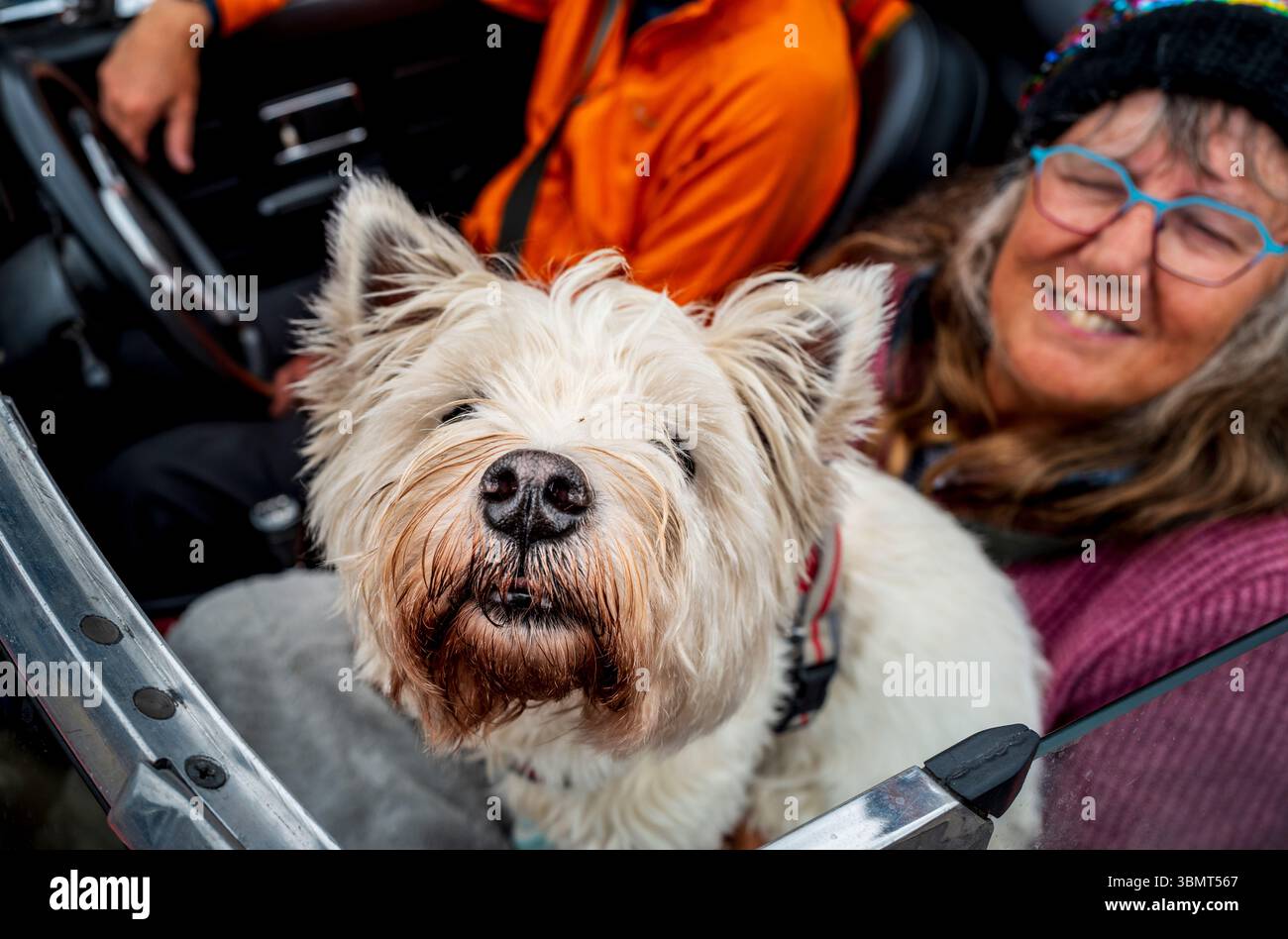 Moffat Classic Car Rally in Moffat, Scotland held on 28th June 2025 ...