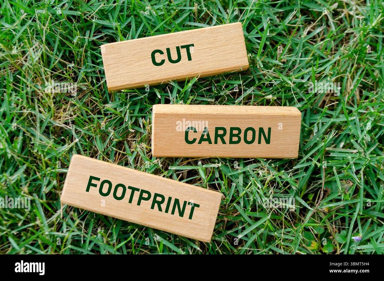Cut Carbon Footprint text on wooden blocks, promoting eco-friendly ...