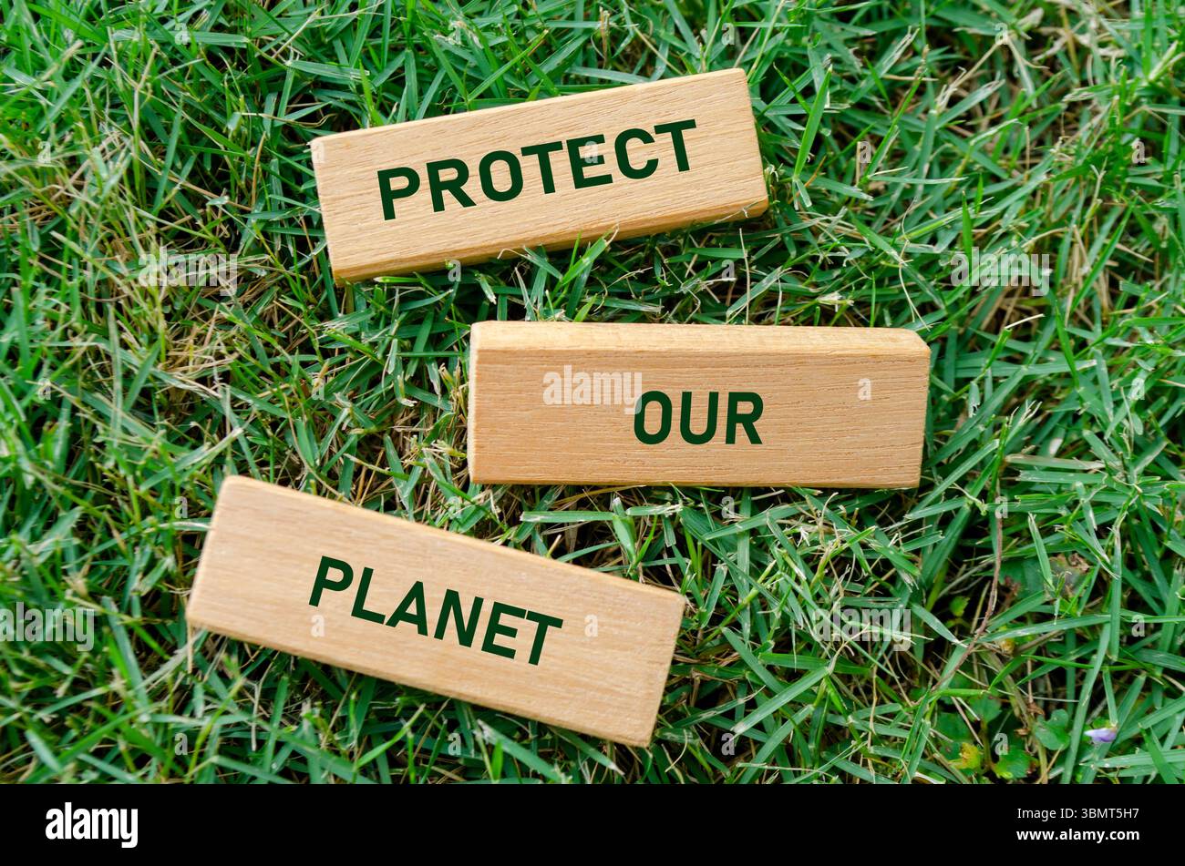 Protect Our Planet text on wooden blocks, a powerful reminder to care ...