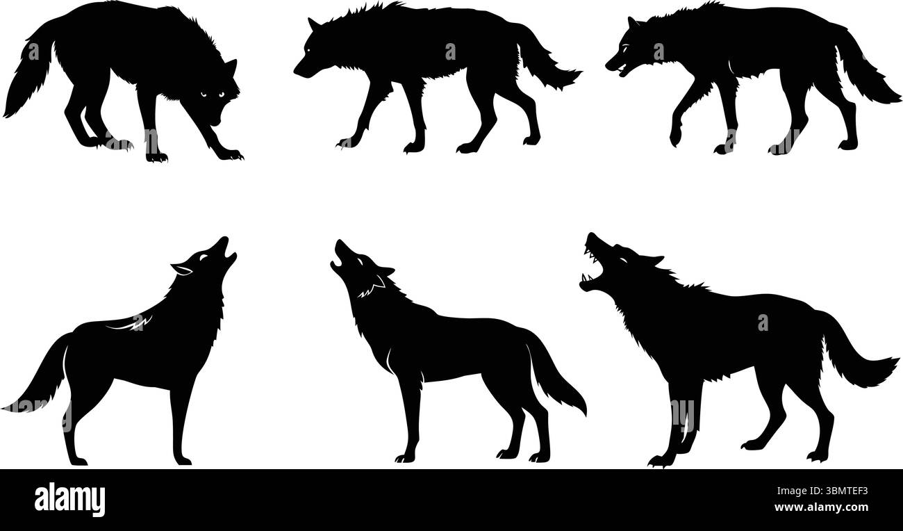 Aggressive and Wild Wolf Silhouette Vector Set Angry, Howling, Running, and Sleeping Wolves PNG ...