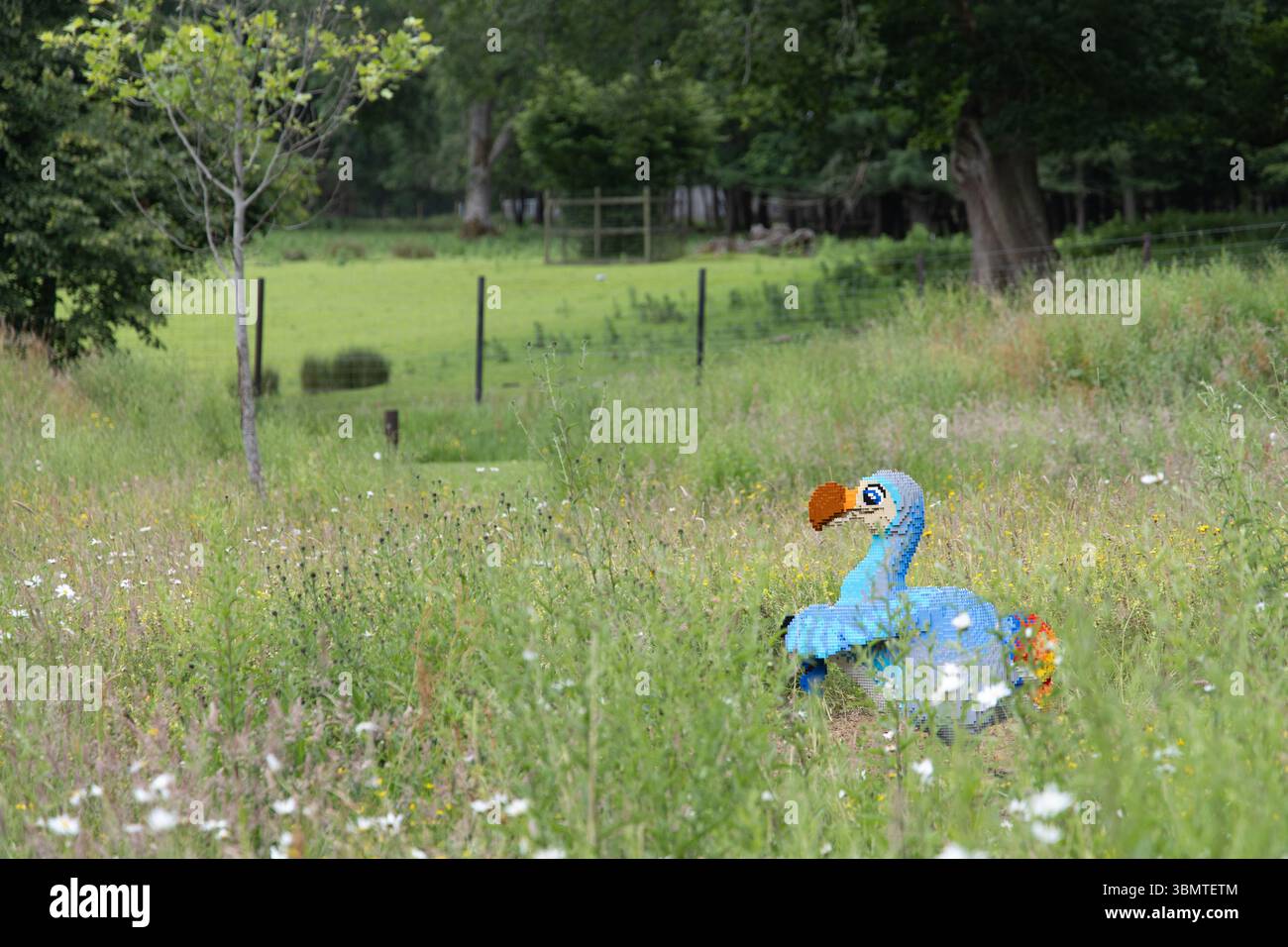 Brick Wonderland LEGO trail at Culzean Castle, Ayrshire, Scotland ...