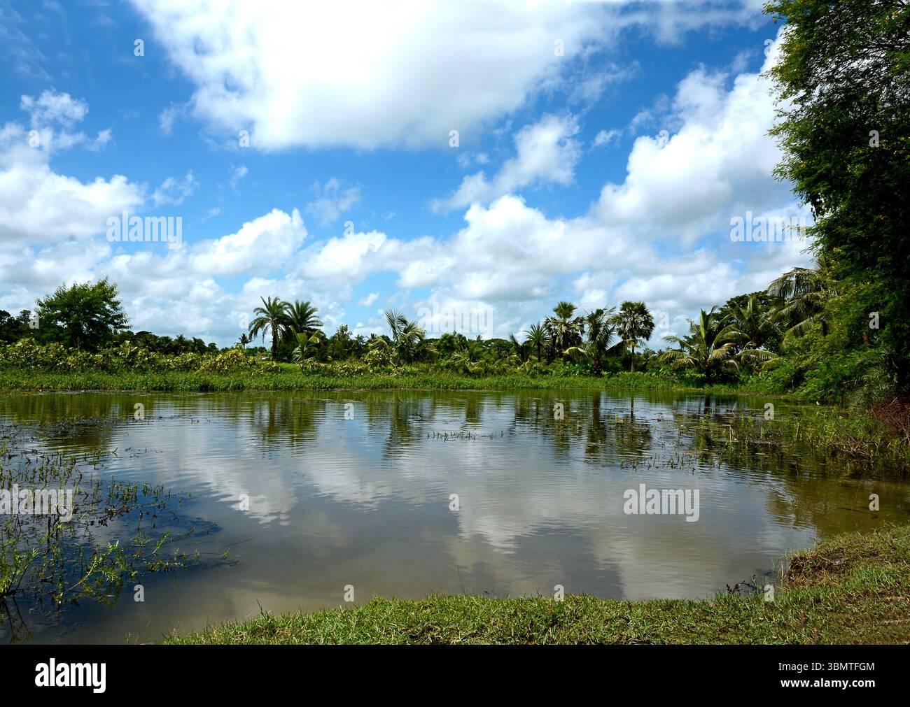 Landscape of the remote village of West Bengal in India Stock Photo - Alamy