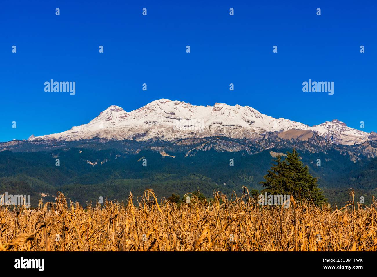 Neovolcanic axis hi-res stock photography and images - Alamy