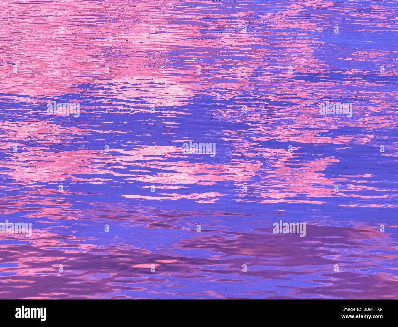 Mesmerizing Purple and Pink Water Ripples - High-Resolution Abstract ...